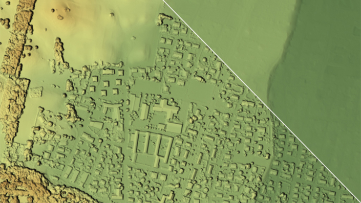 Digital Elevation Models | DEM, DTM, DSM | Vexcel