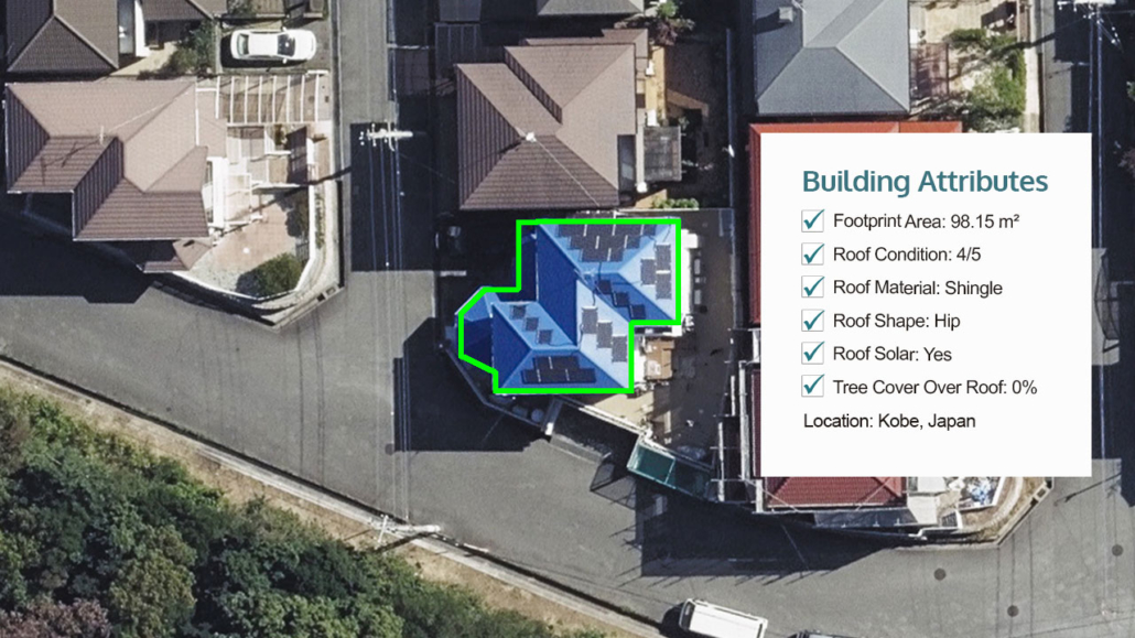 Aerial Imagery & Elevation Data of Japan | Vexcel Data Program