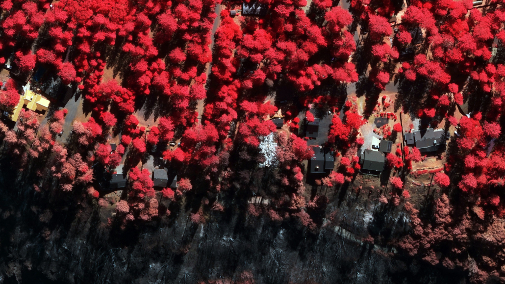 Gray Sky Event: Park Fire | Vexcel Data Program