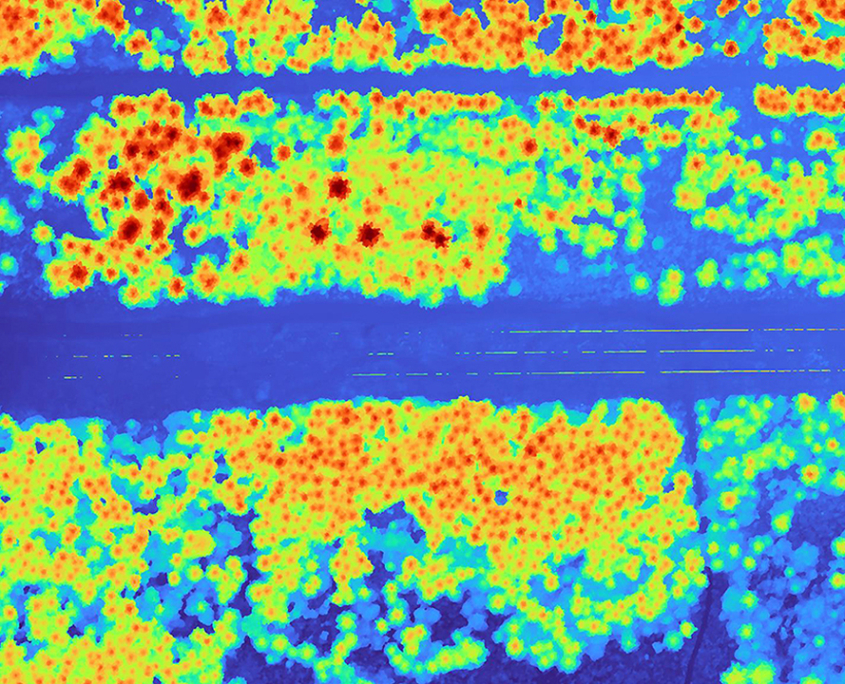 Aerial Imagery, Maps & Geospatial Data | Vexcel Data Program