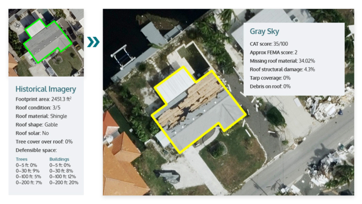 Gray Sky & Disaster Imagery | Vexcel Data Program